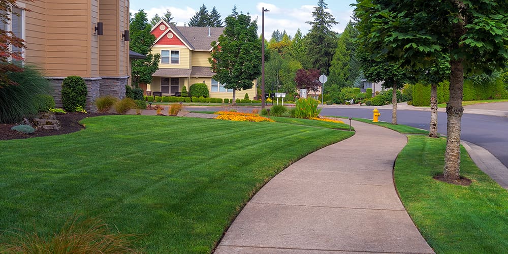 Year-Long HOA Lawn Maintenance | Graham Management